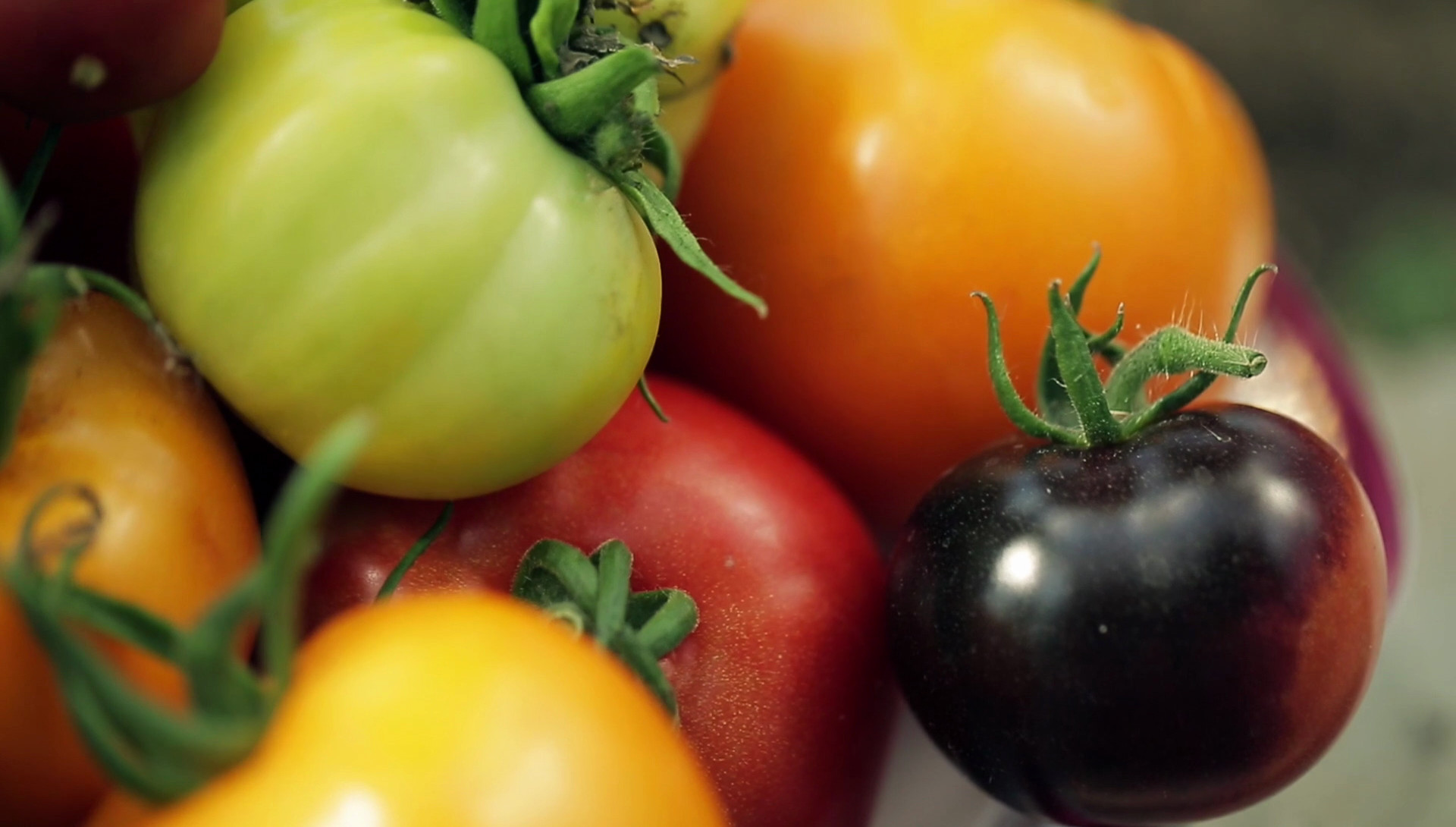 Продукт недели: помидоры